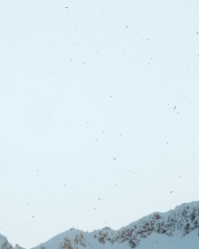 Collections – mindgamesfragrance