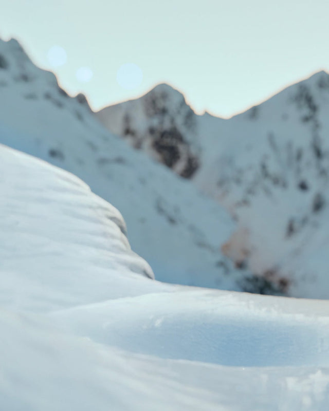 Collections – mindgamesfragrance